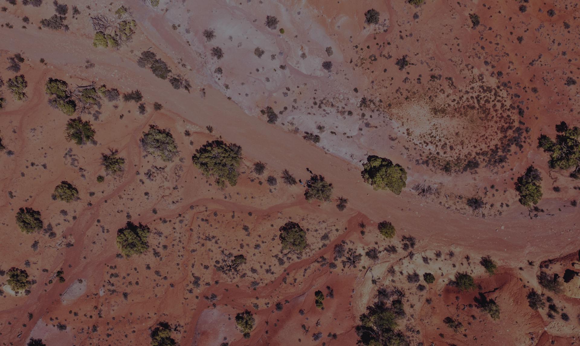 Dendra | Ecosystem Restoration & Management