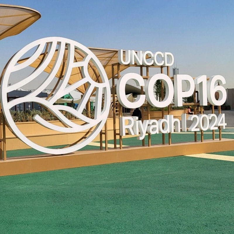 Celebrating Progress and Partnerships at COP16 | Dendra Systems
