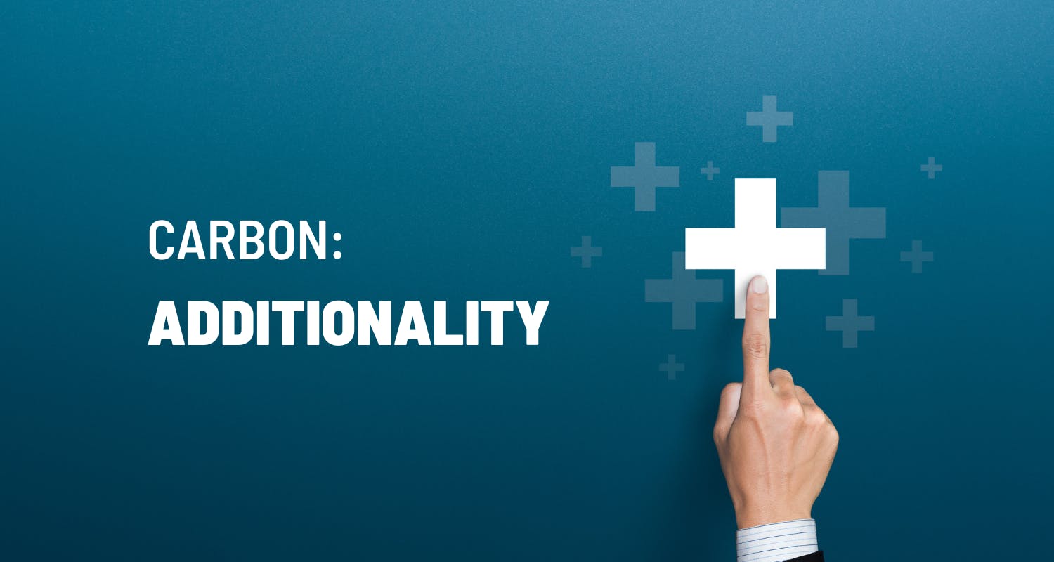 Understanding Carbon Additionality: Key Concepts for Effective Climate ...