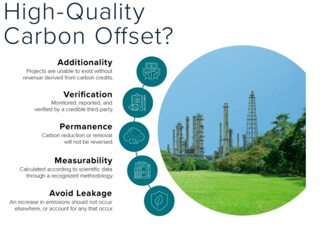 The Market for High-Quality Carbon Removal: Key Insights | Dendra Systems