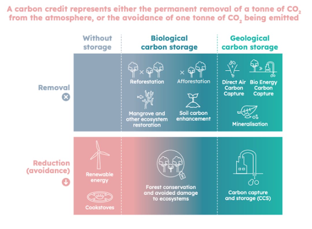 Understanding Carbon Additionality: Key Concepts for Effective Climate ...
