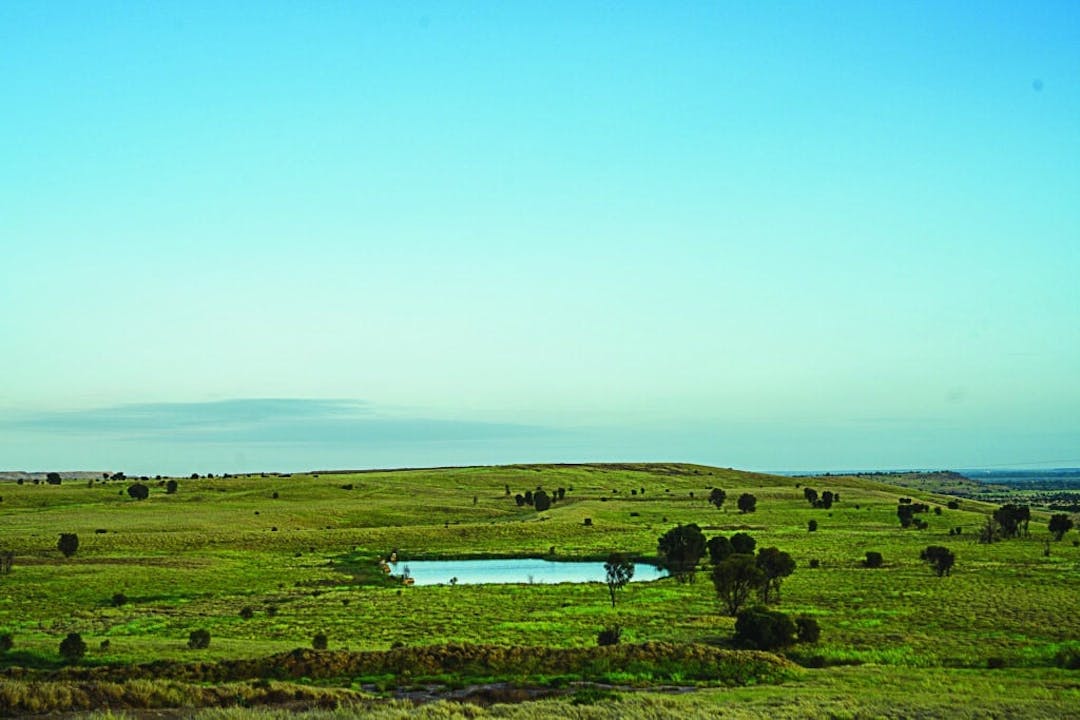 Dendra | Ecosystem Restoration & Management