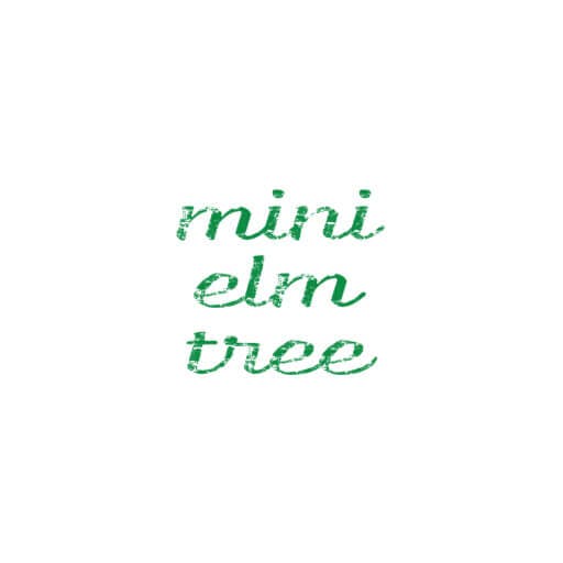 My Little Tree | deTour 2024 – design festival