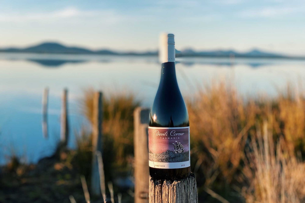 Explore Devil's Corner Wines | Devil's Corner