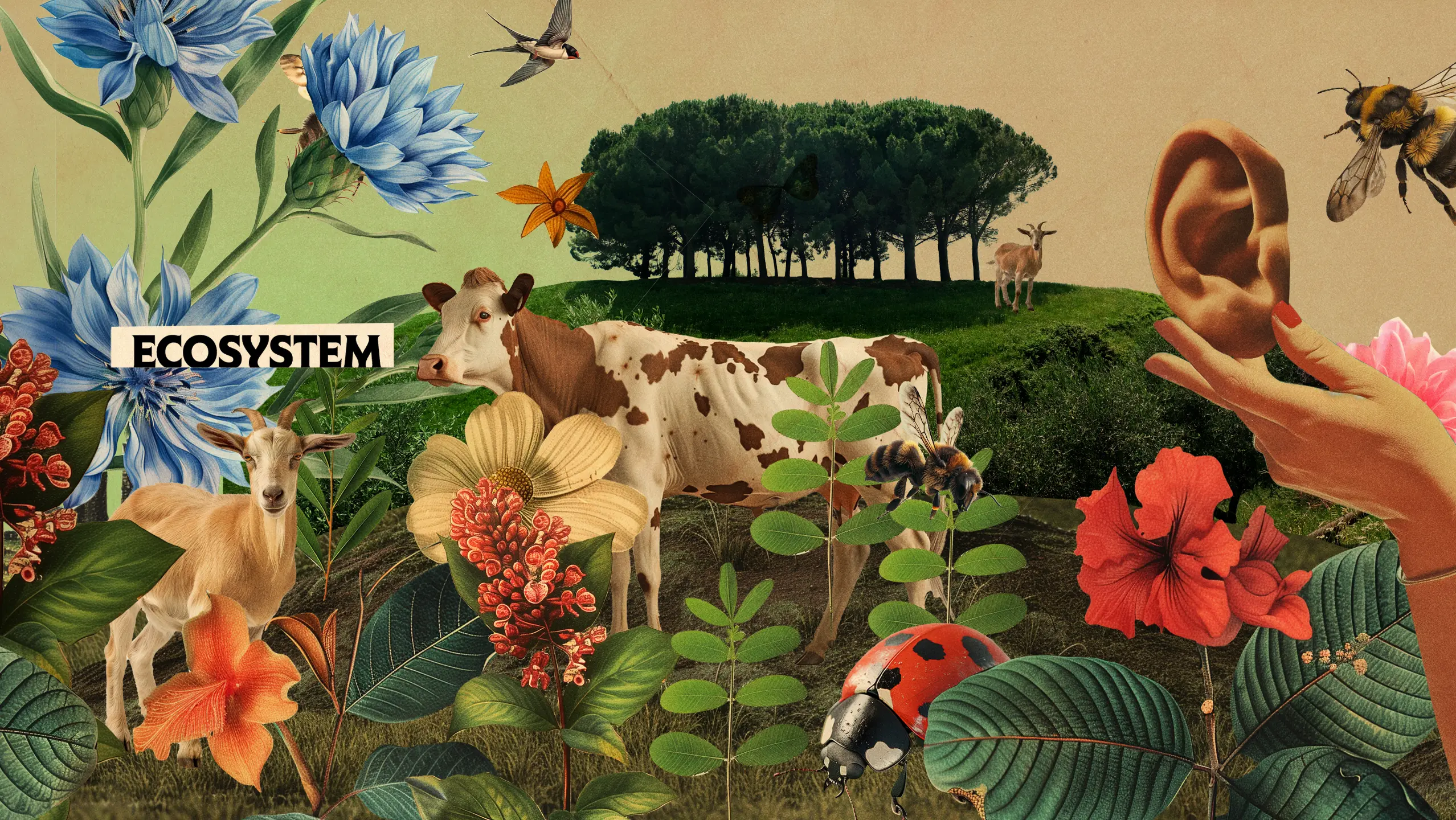 Ecosystem - Diesel Farm