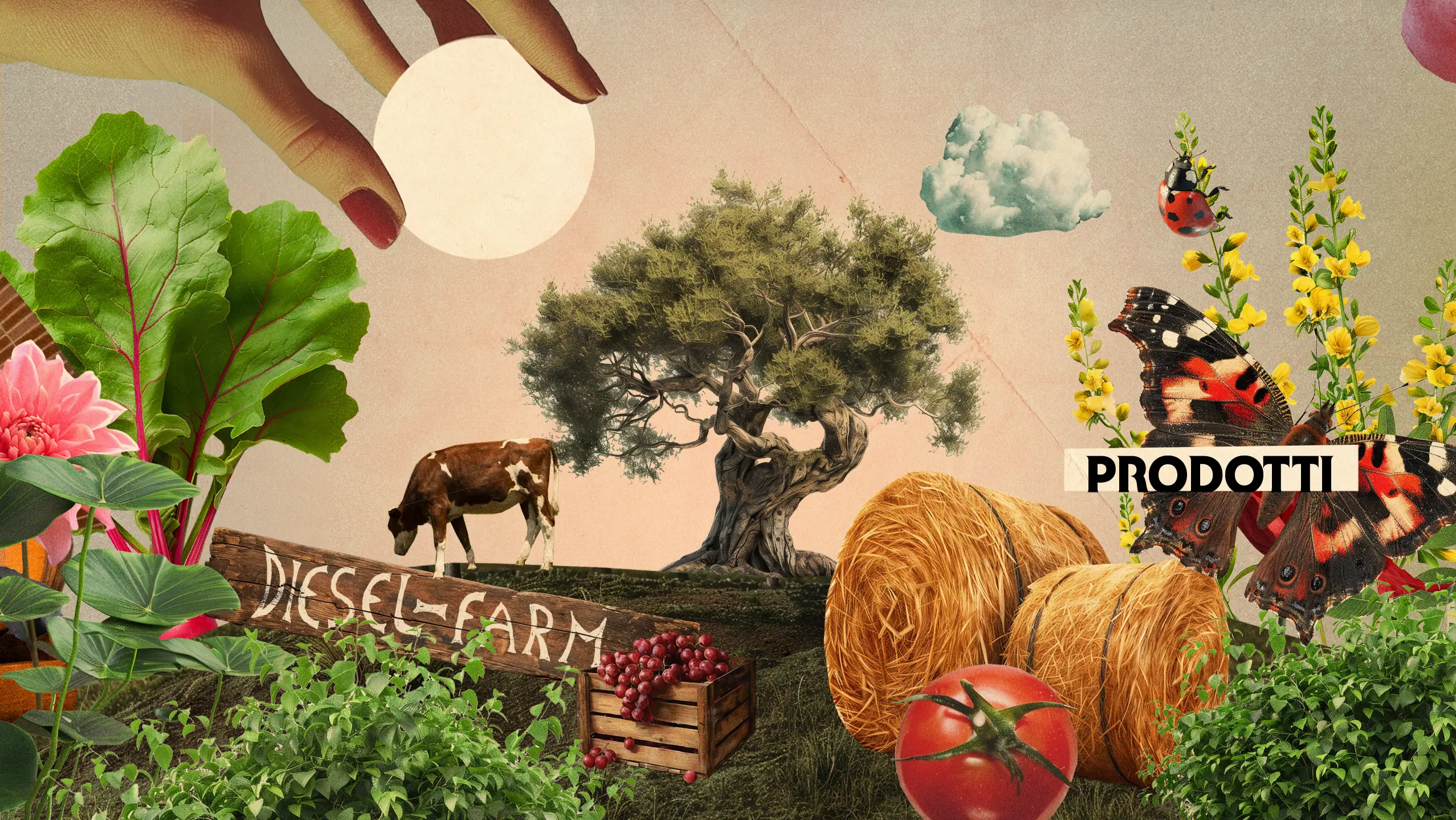 Prodotti - Diesel Farm