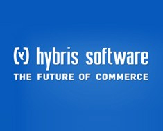 Digital Six Partners With Hybris | Digital Six®