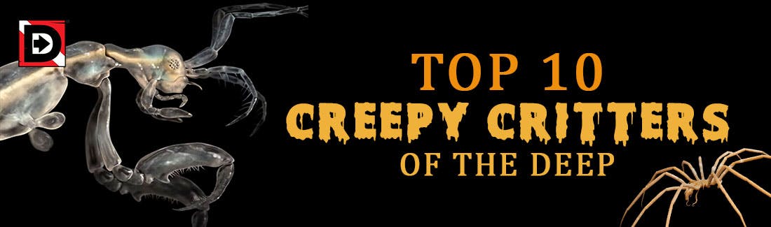 Top 10 Creepy Critters of The Deep