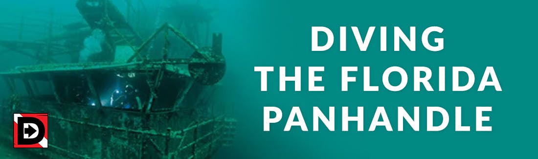 Where to Scuba Dive in Florida for the Winter - Part 1: Diving the ...