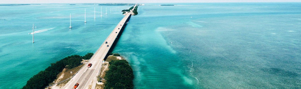 The Great Dive Drive