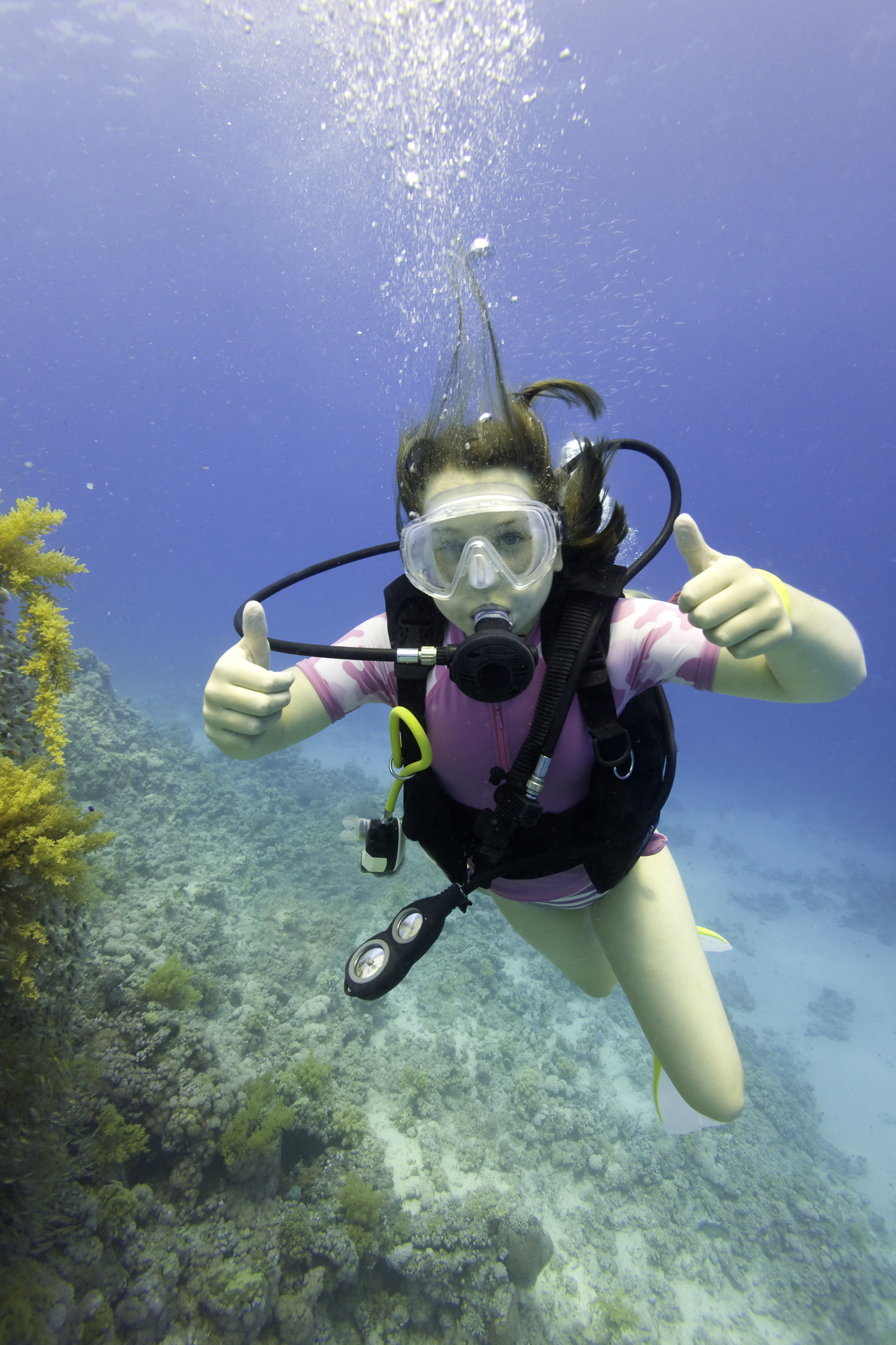 Thankful Diving Encounters