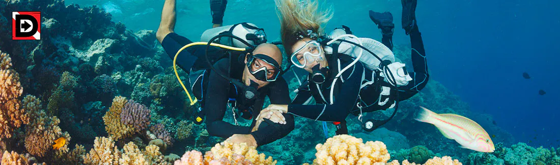 How to Show Your Dive Buddy Some Love
