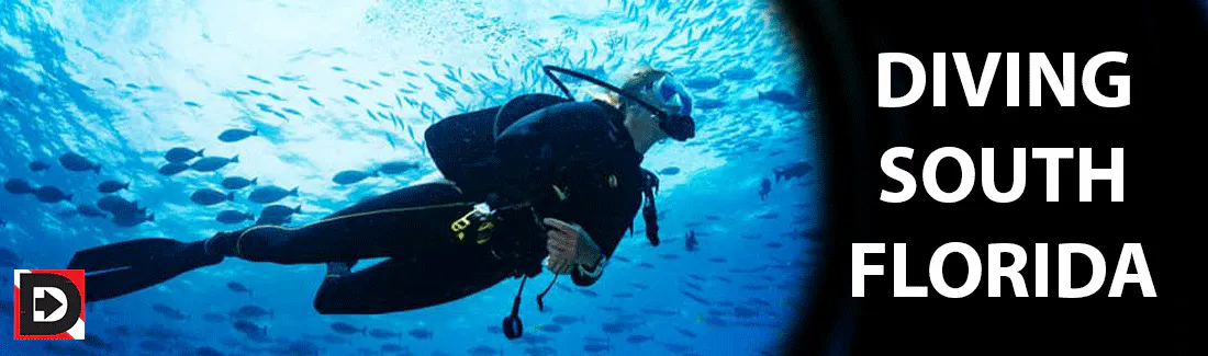 Where to Scuba Dive in Florida for the Winter - Part 3: Diving South ...