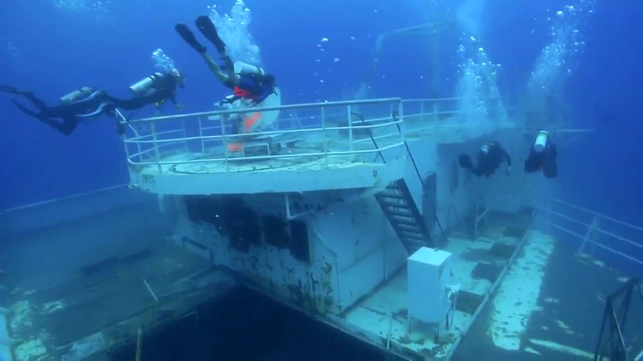 Top 10 Snorkel/Dive Sites in The Florida keys