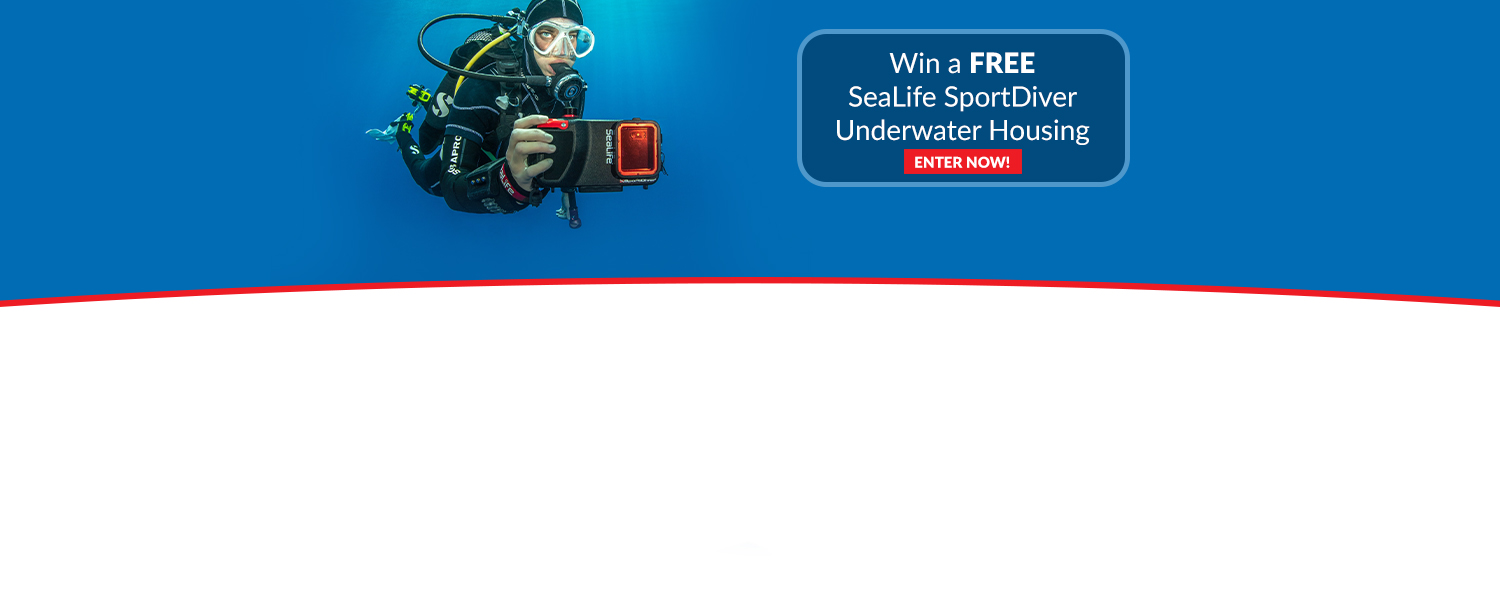 Scuba Diving Gear, Fins, Tanks, Masks & more | Divers Direct