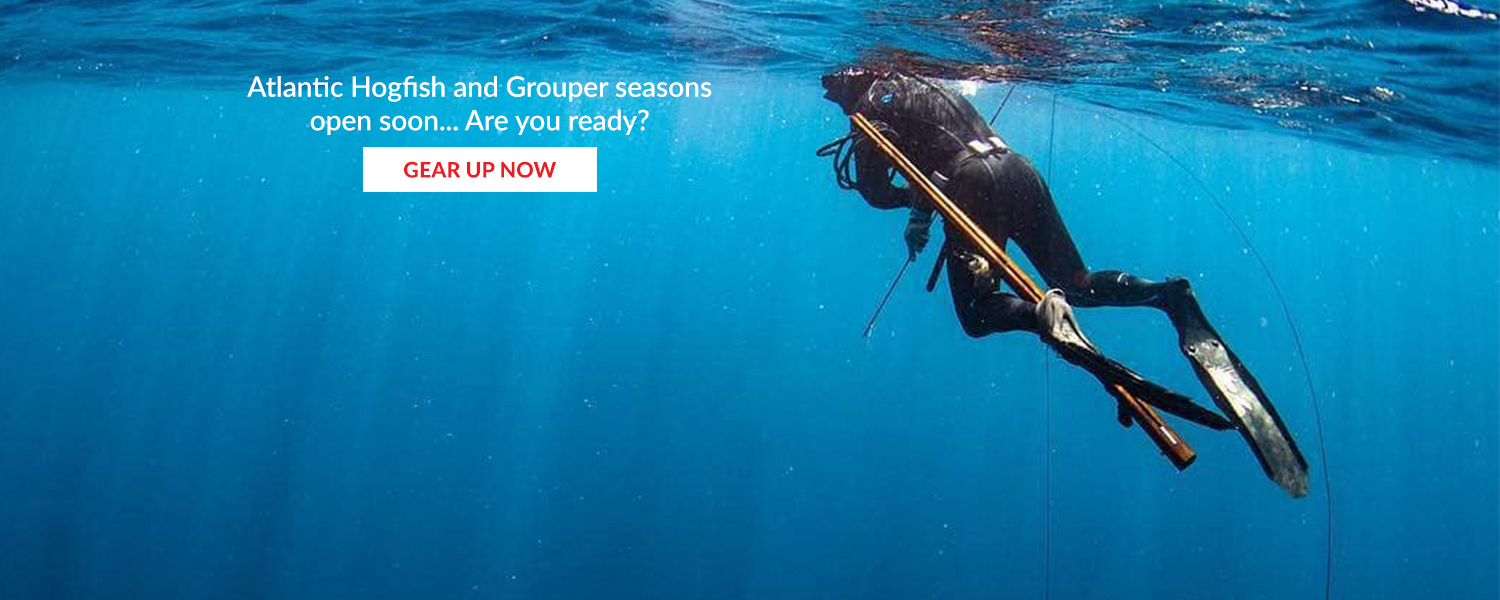 Scuba Diving Gear, Fins, Tanks, Masks & more | Divers Direct