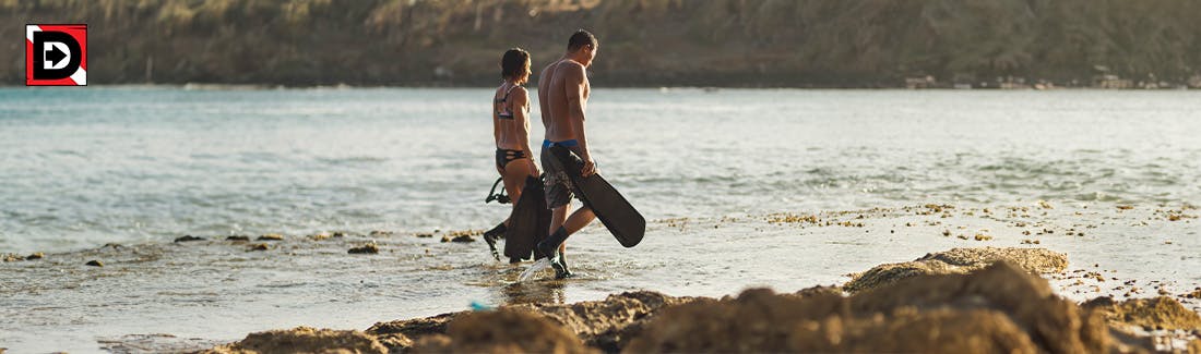 Beach Snorkeling, Freediving, and Diving Tips