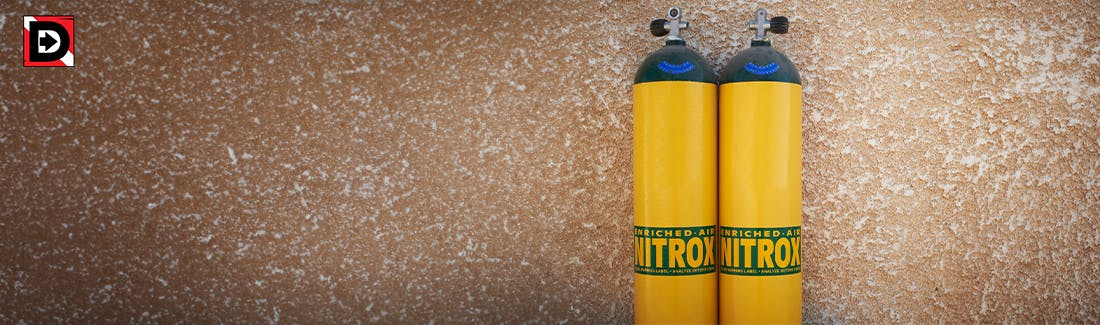 Diving with Nitrox vs. Normal Air: What’s the Difference?