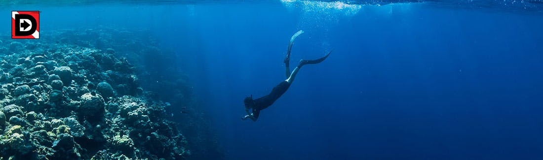 Beginner’s Guide to Freediving Gear