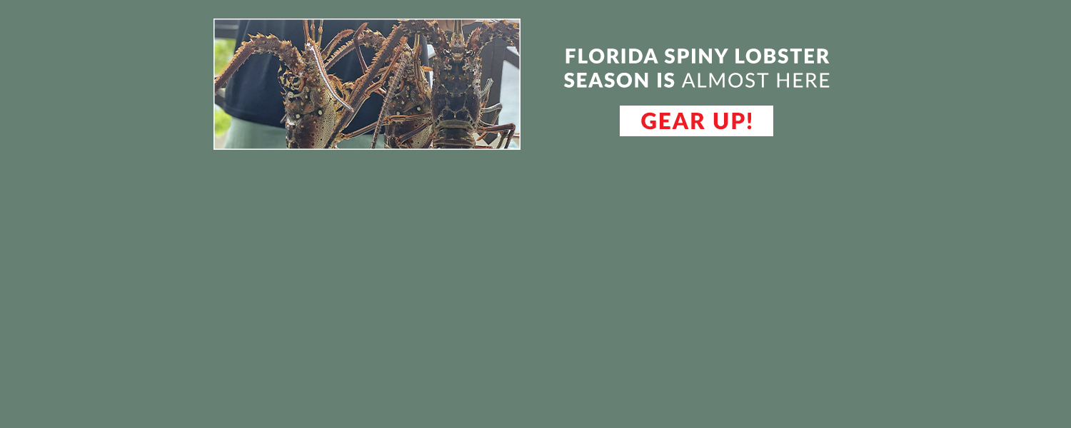 Scuba Diving Gear, Fins, Tanks, Masks & more | Divers Direct