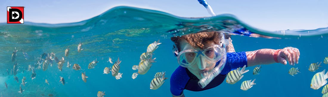 A Beginner's Guide to Snorkeling A Beginner's Guide to Snorkeling