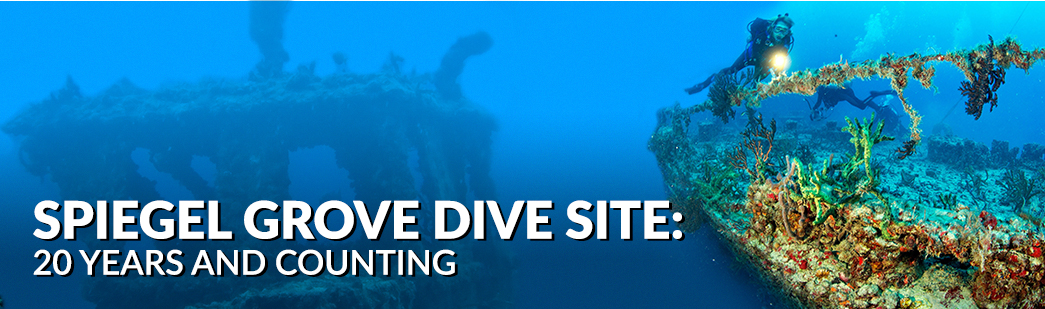 20 Years of the Spiegel Grove