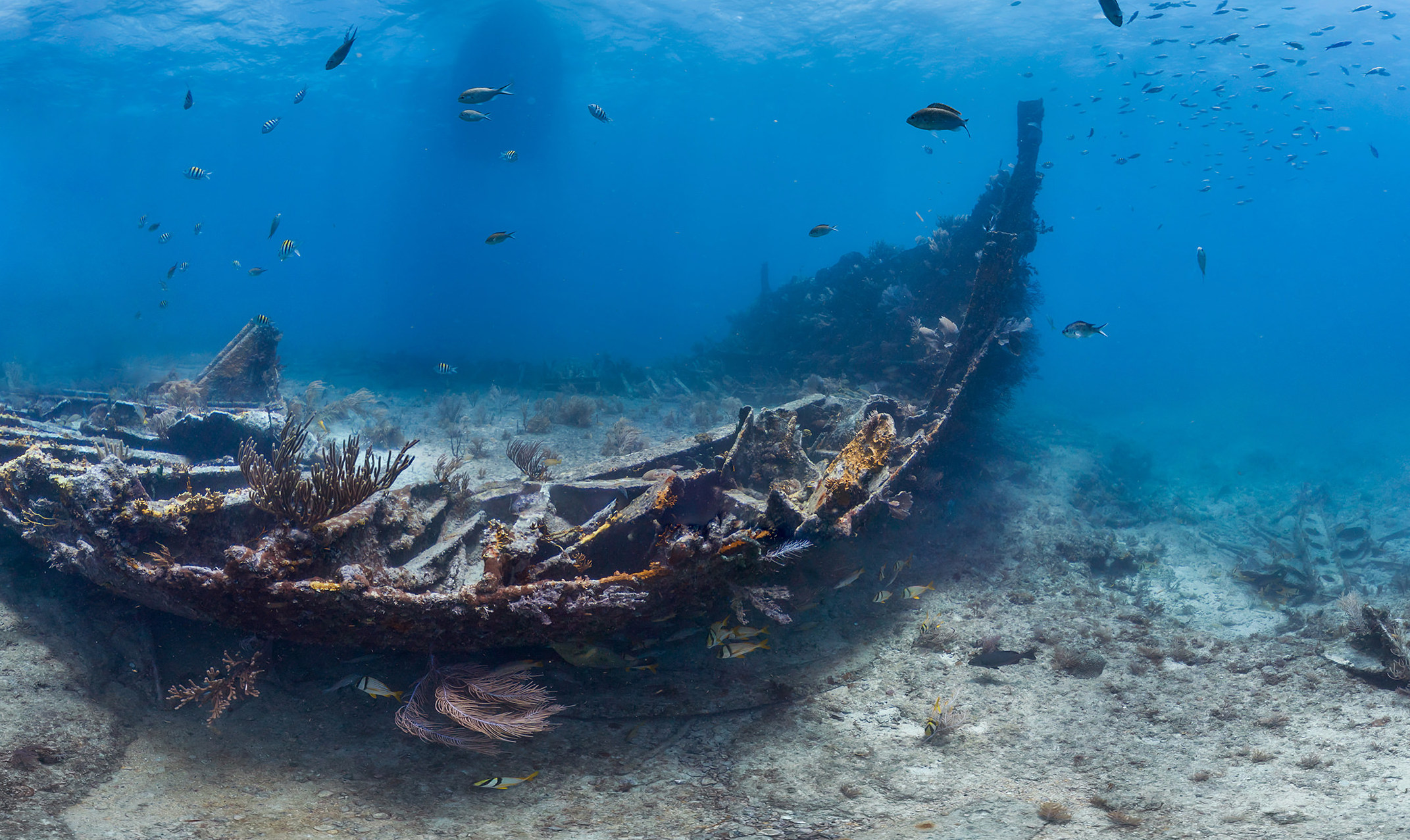 Top 10 Snorkel/Dive Sites in The Florida keys