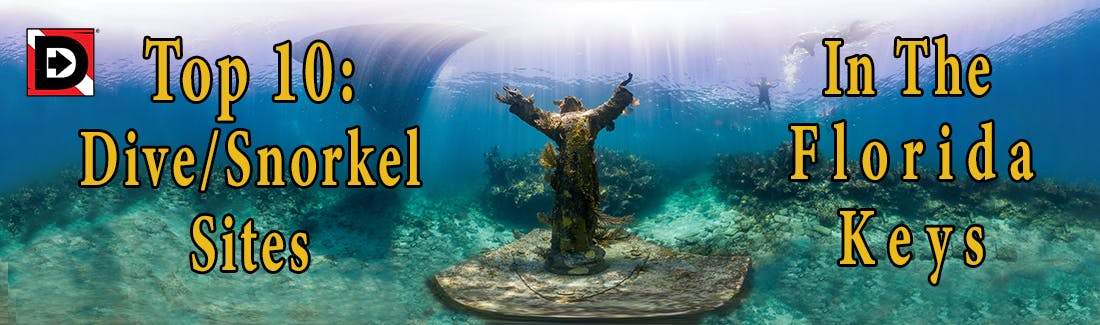Top 10 Snorkel/Dive Sites in The Florida keys
