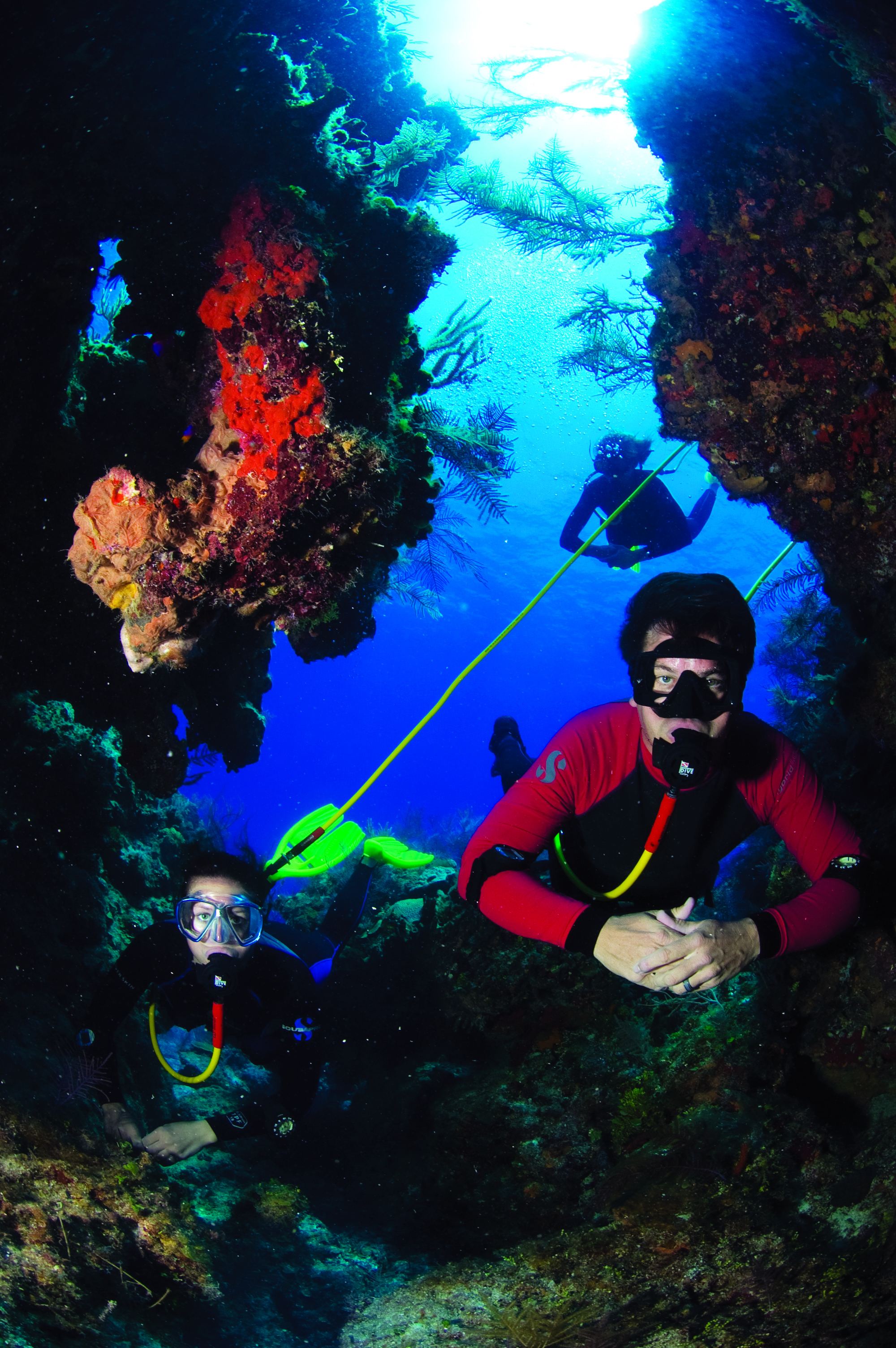 Demystifying Tankless Diving (Hookah Diving)