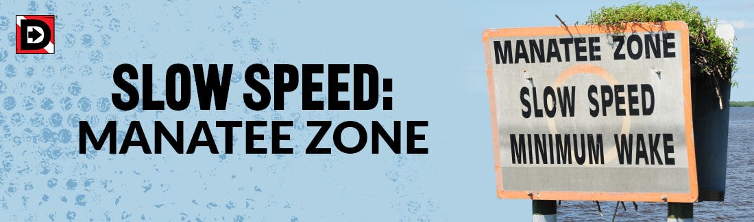 Slow Speed: Manatee Zone