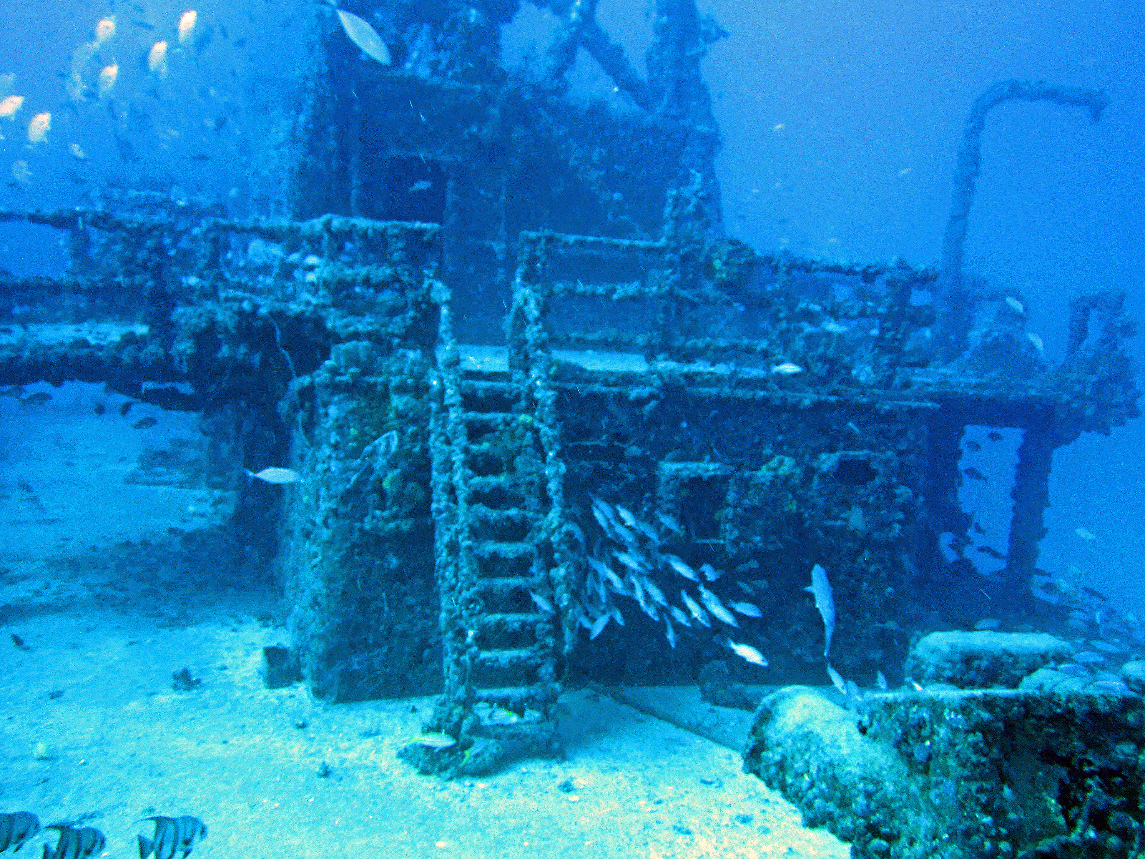 Top 10 Snorkel/Dive Sites in The Florida keys