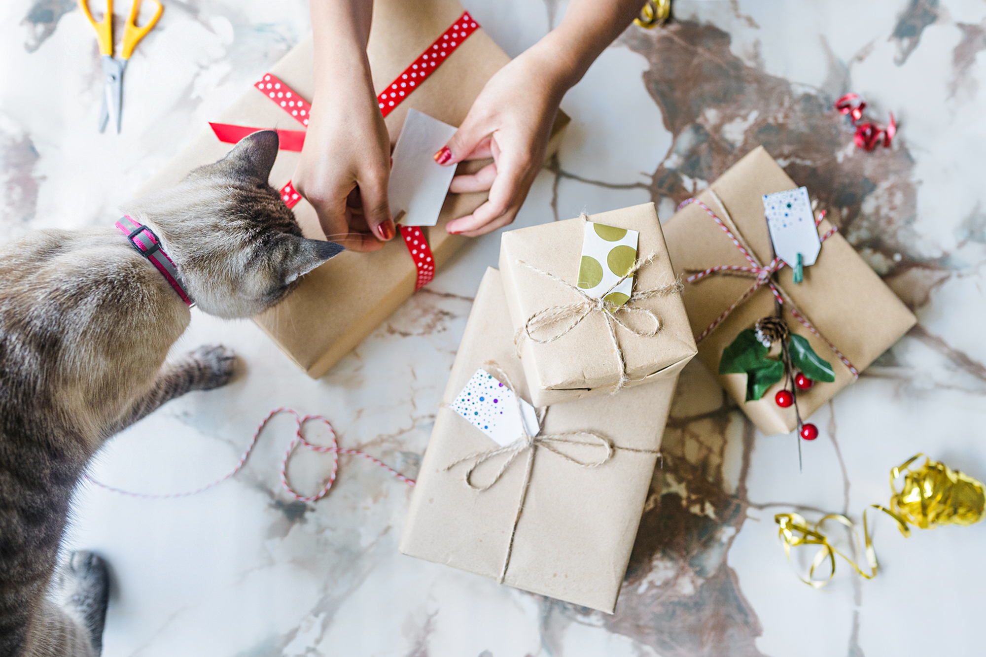 The Spruce Pets Holiday Gift Guide