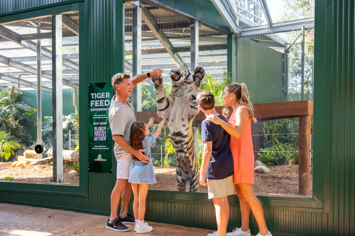 Tiger Island | Dreamworld