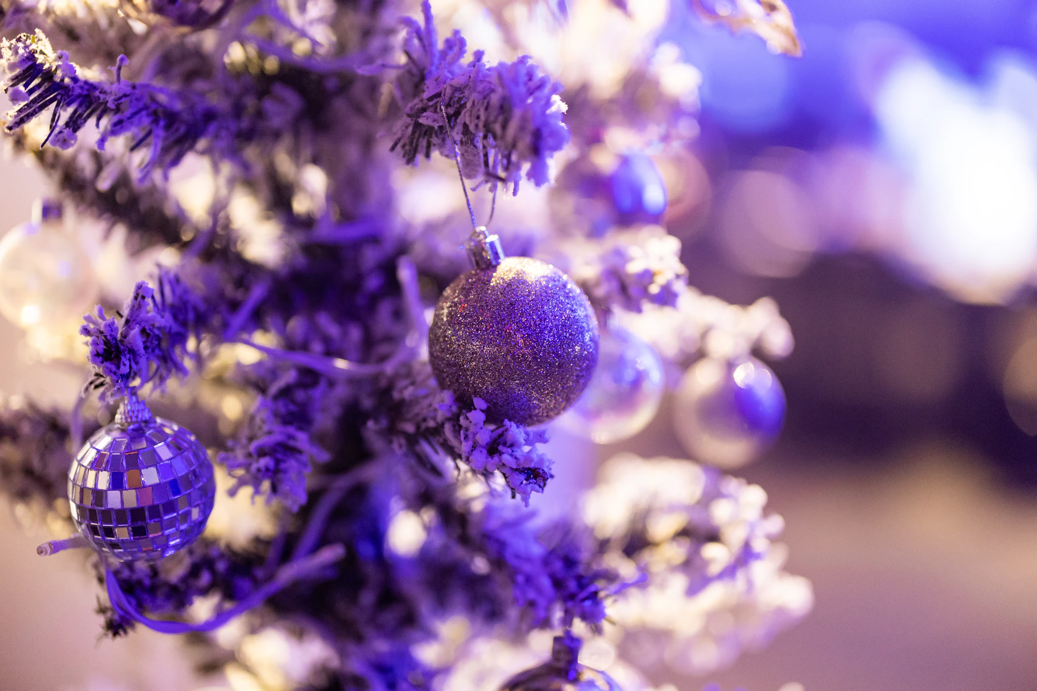 Christmas packages | Dreamworld