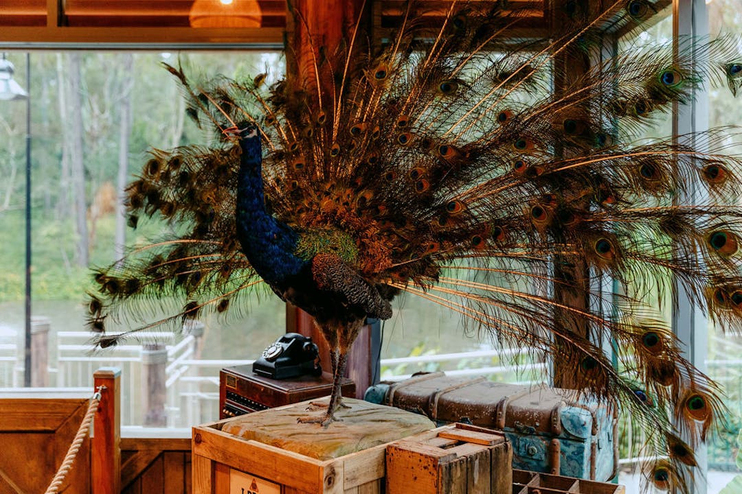 Jane’s Rivertown Restaurant | Dreamworld