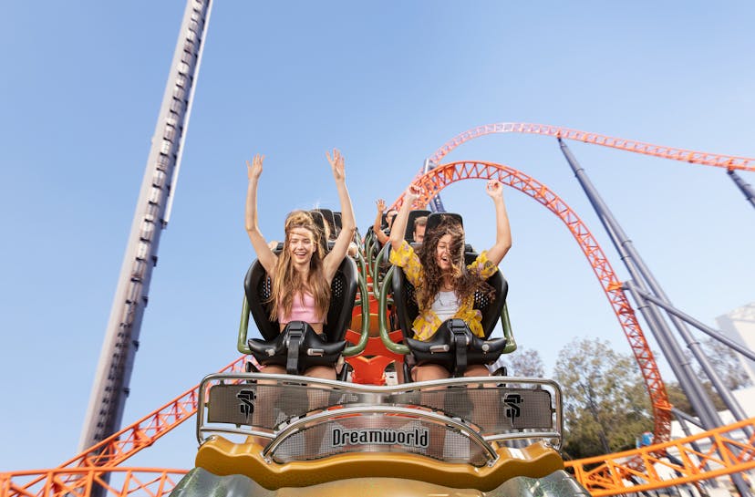 Steel Taipan | Dreamworld