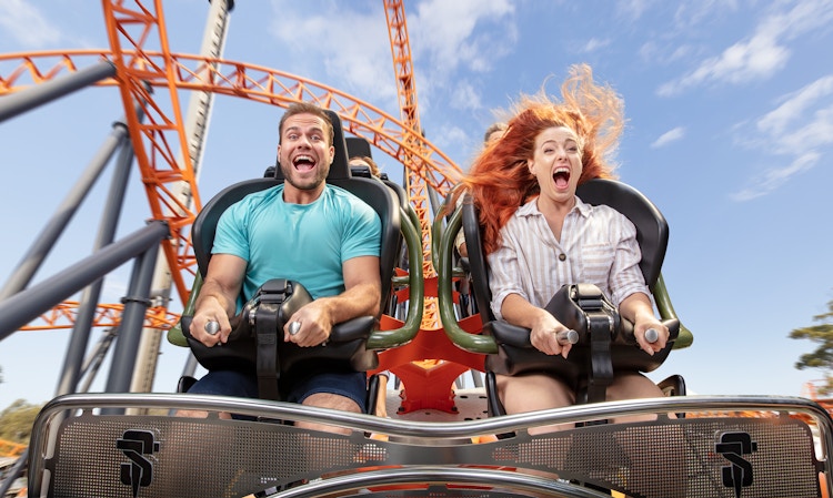 Steel Taipan | Dreamworld