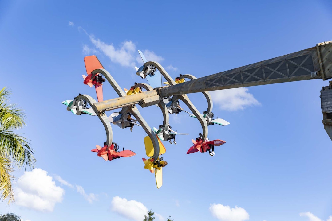 Tail Spin | Dreamworld