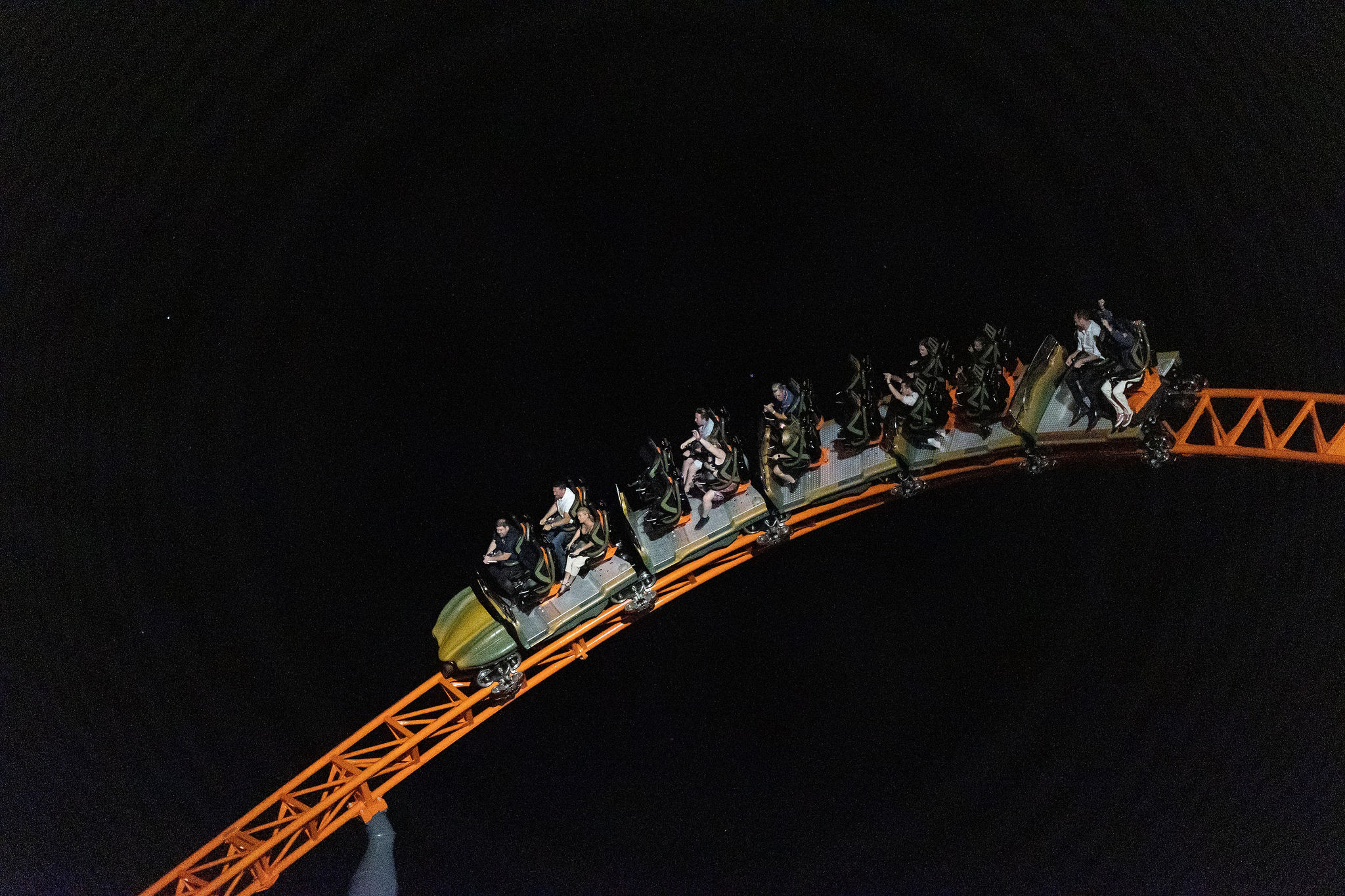 Steel Taipan | Dreamworld