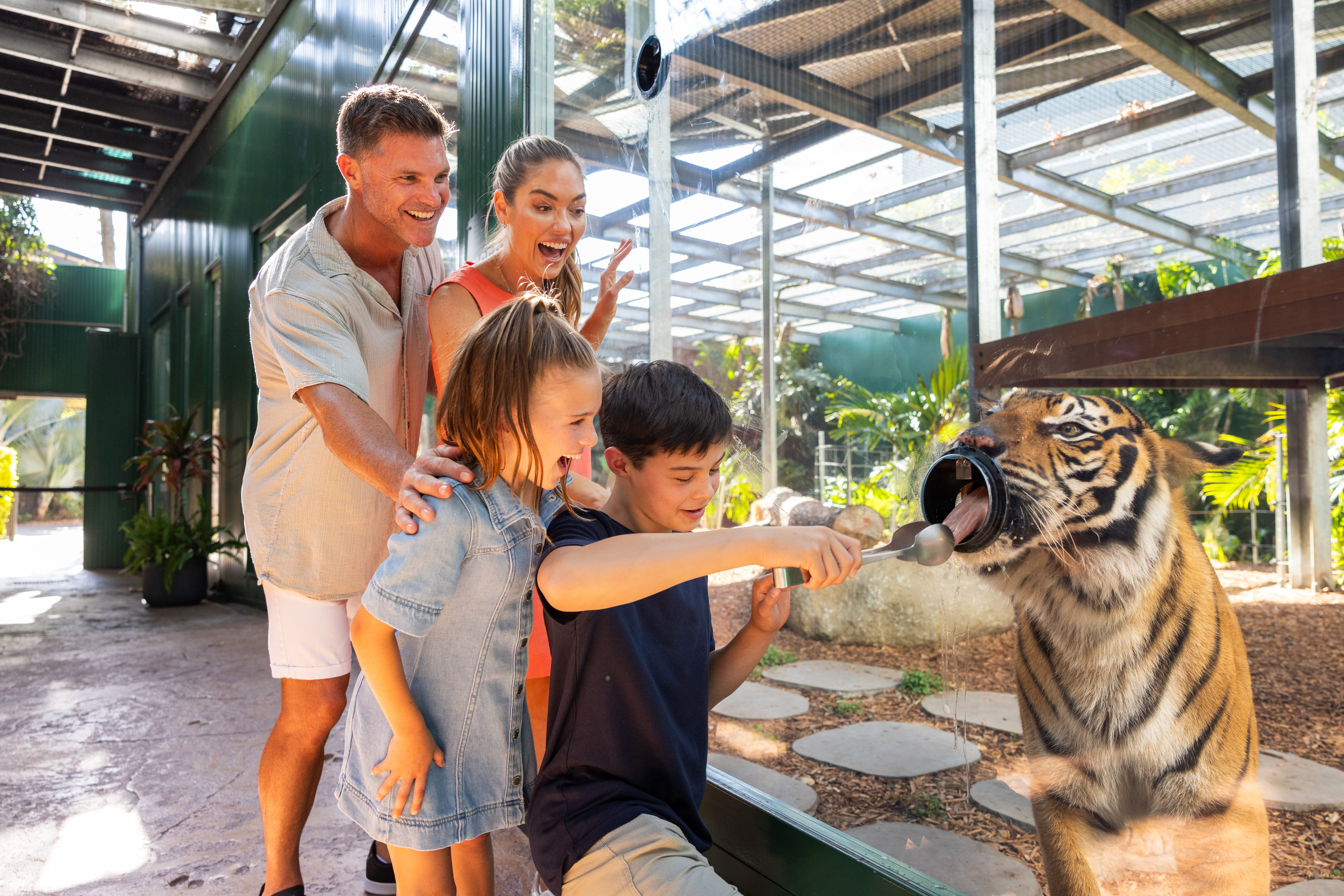Tiger Island | Dreamworld