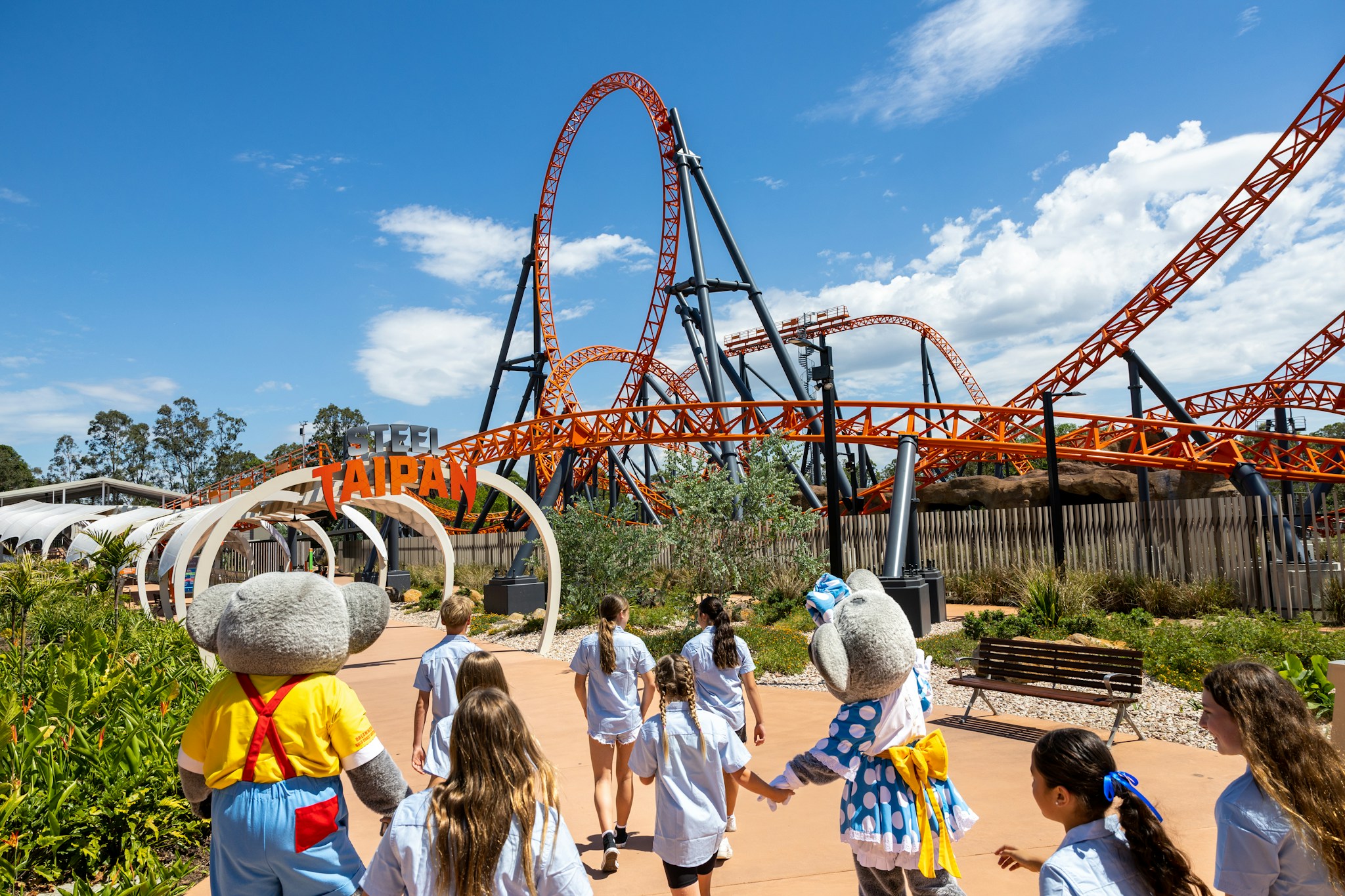 Groups & functions | Dreamworld