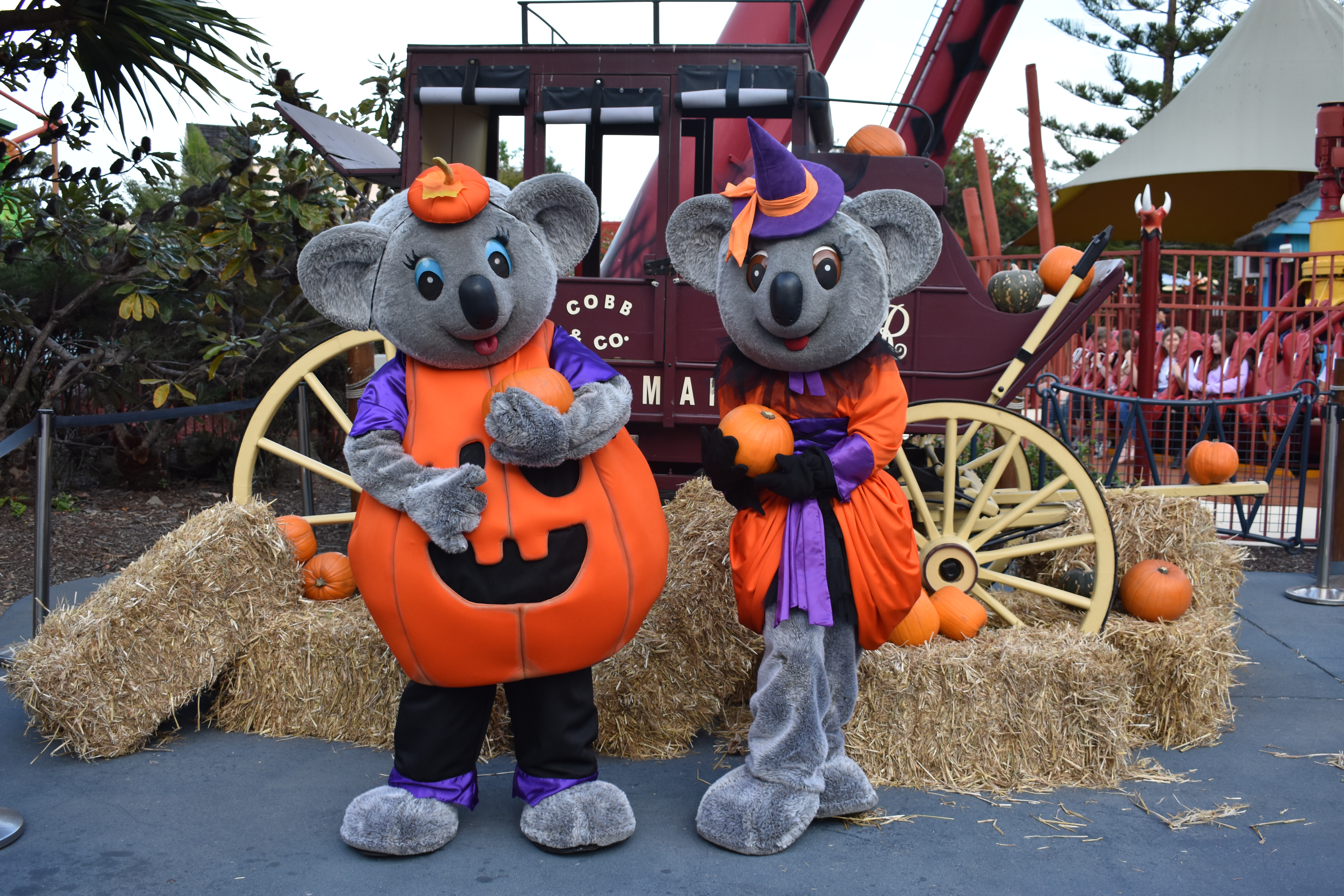 Happy Halloween | Dreamworld