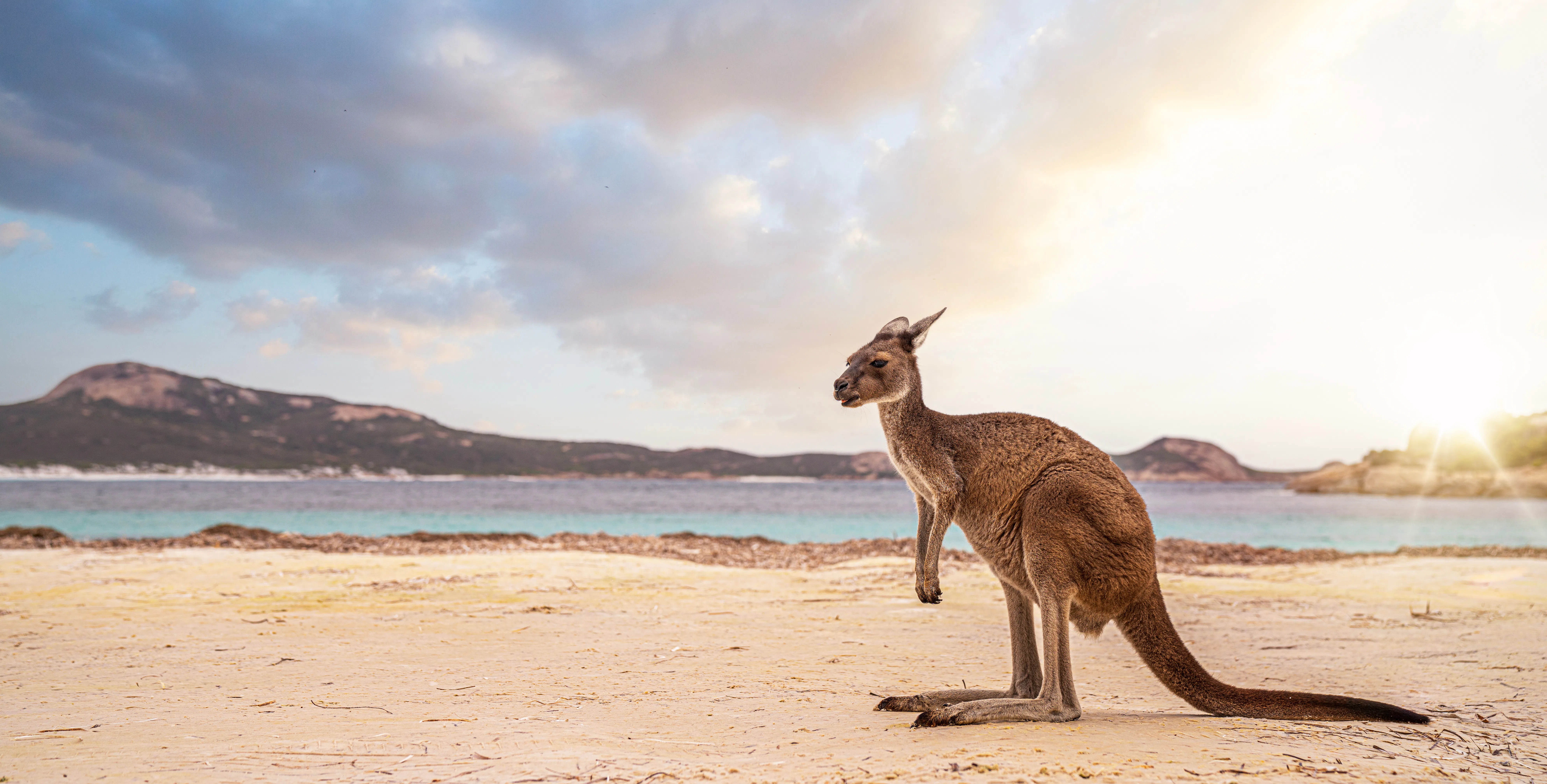The Top 10 Australian Holiday Destinations You Should Visit | Driva