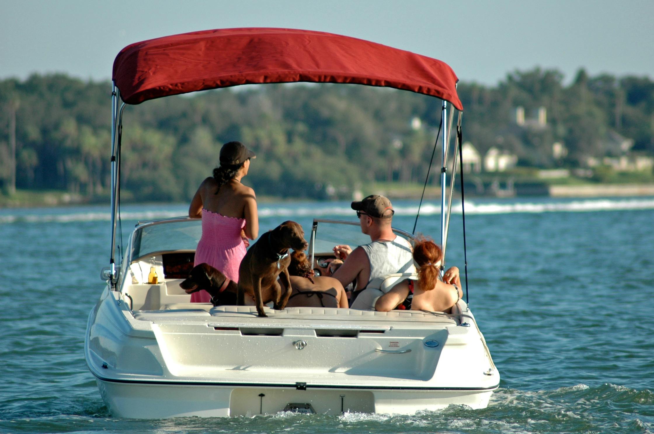 Top 6 Boat Types and Their Uses | Driva