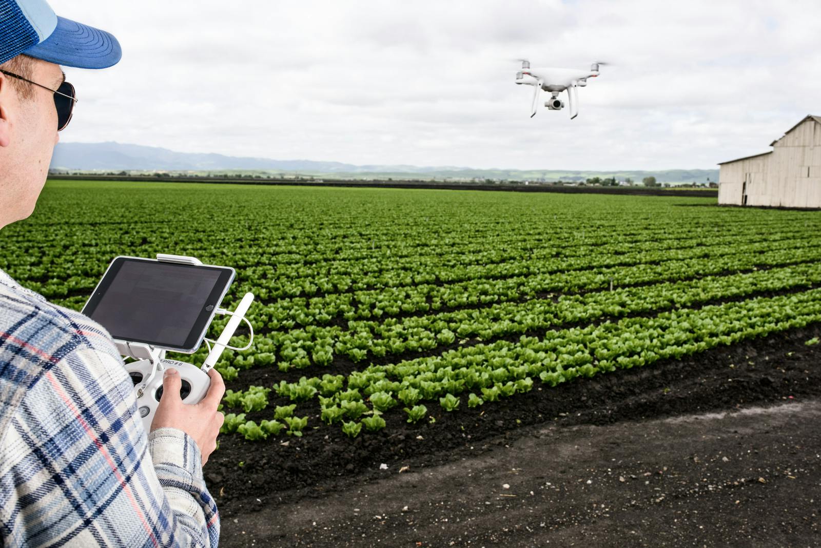 Identifying Crop Variability with Drones | DroneDeploy
