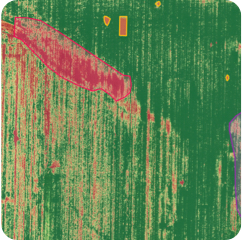 Stand Counts | Precision Agriculture | Agriculture Drone Software ...