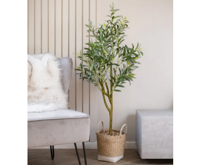 Flowers & Plants SALE | Dunelm