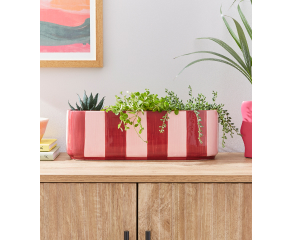 Dunelm home furnishings store