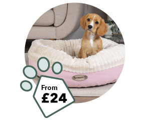 Pets - Shop Everything Your Furry Friend Needs | Dunelm