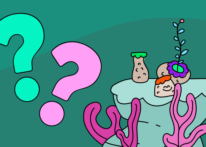 Colourful Coral Reef! Quiz - Earth Cubs